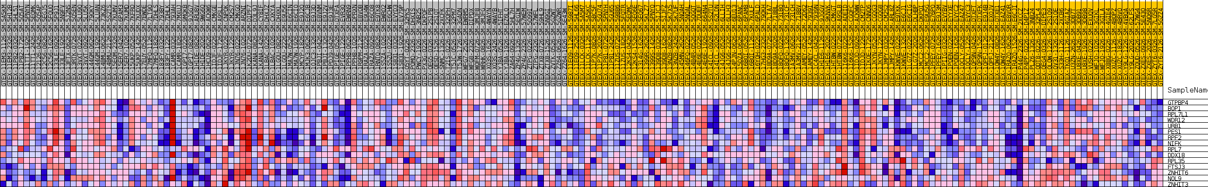Details for gene set GOBP_MATURATION_OF_LSU_RRNA_FROM_TRICISTRONIC_RRNA ...